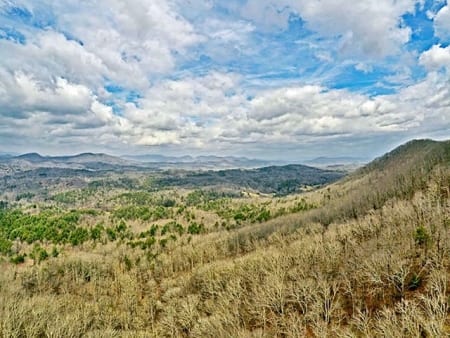 Mineral Bluff, Georgia - Home Auto Life | Dickey Mccay Insurance Agency